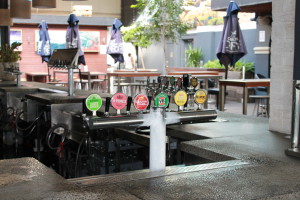 Pro Tap Beer Systems Hotel Steyne Manly Surfside Bar