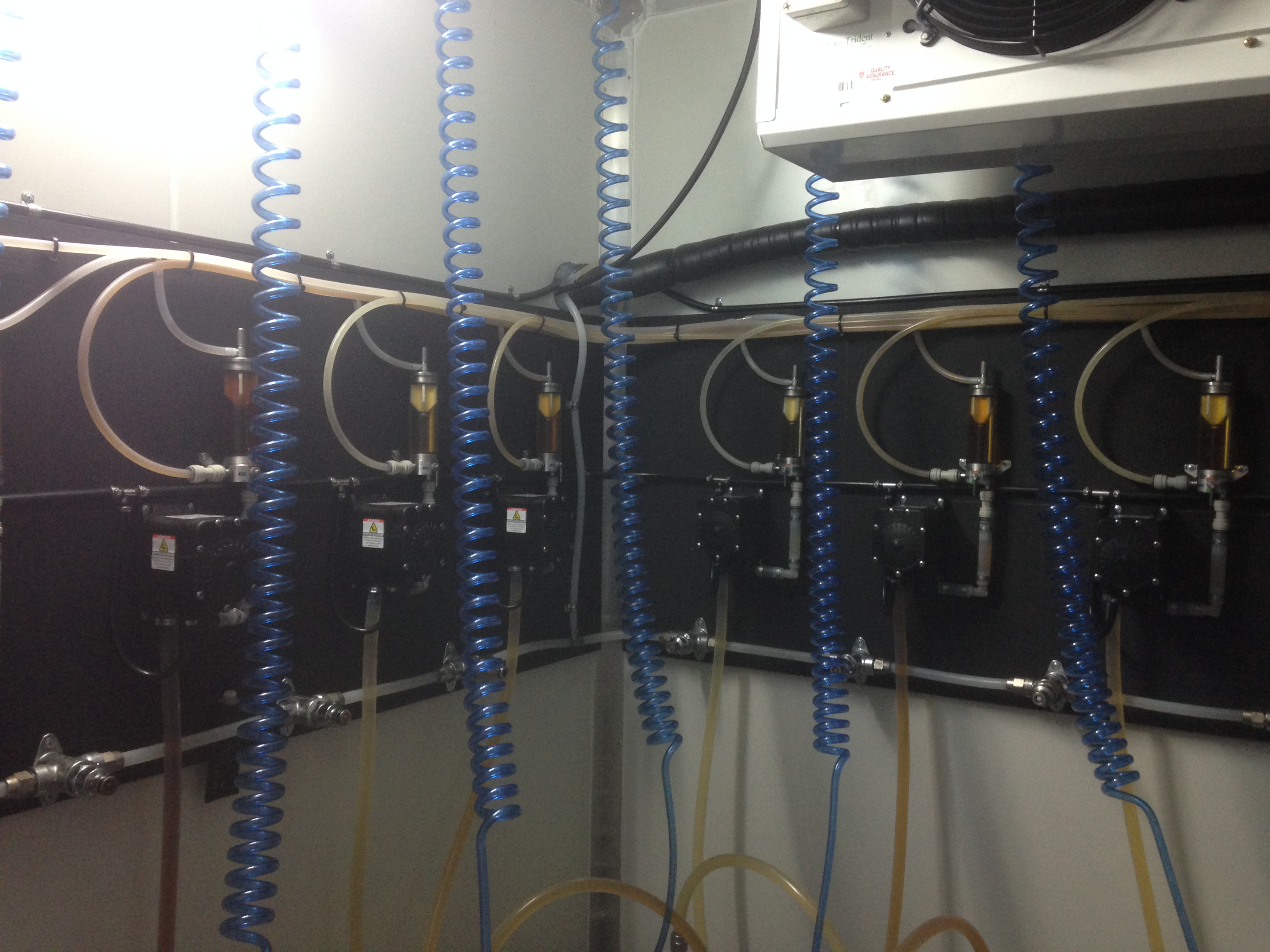 Pro Tap Beer Systems IMG_0785